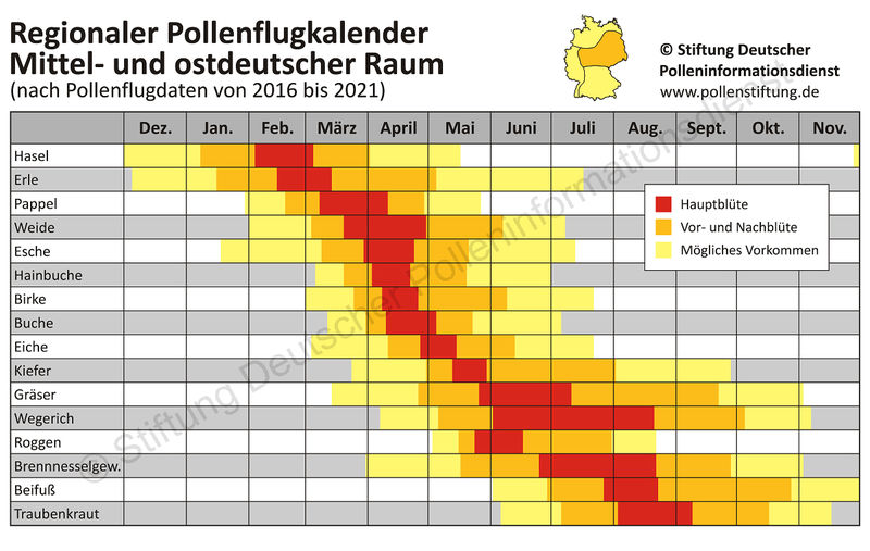 Pollenflugkalender: Stiftung Deutscher Polleninformationsdienst
