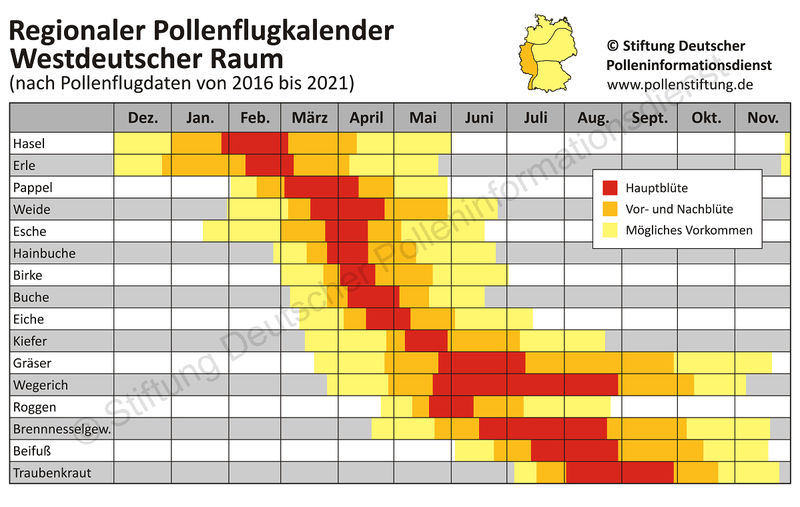 Pollenflugkalender: Stiftung Deutscher Polleninformationsdienst